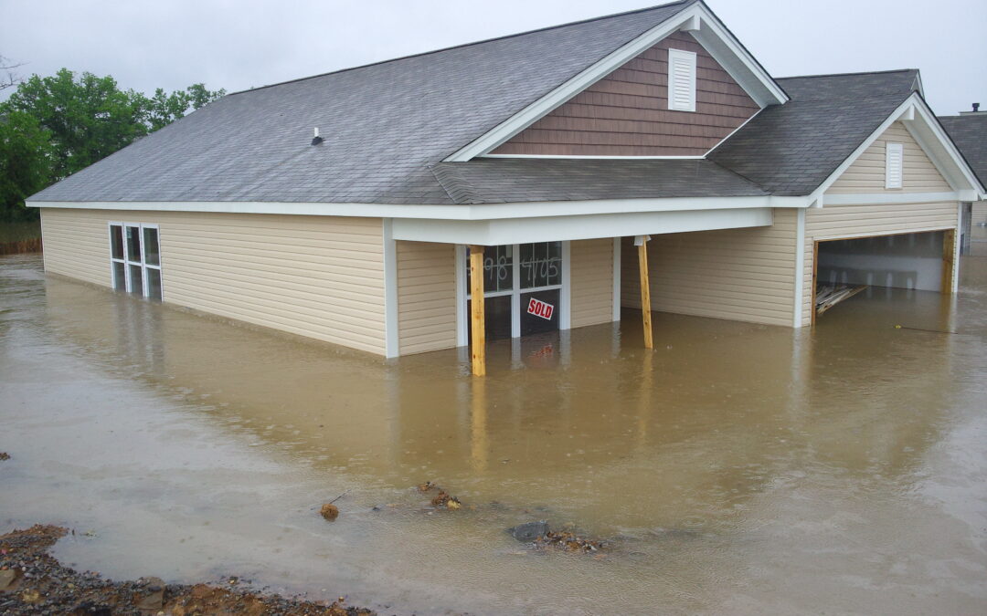 Great Ways To Identify Mold After A Flood